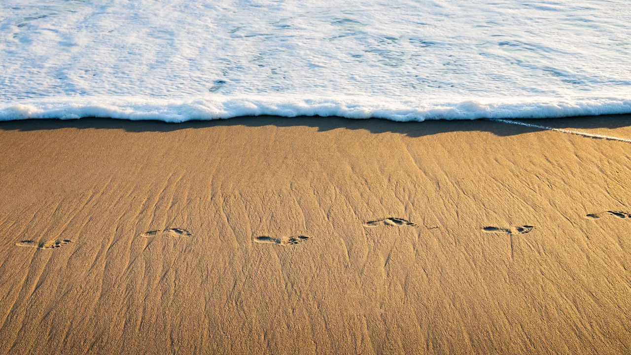 Sea Tern Homes & Vacation Rentals in Sea Tern N.C.