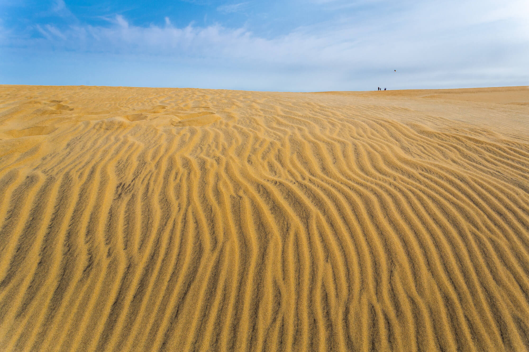 Login to Twiddy Outer Banks